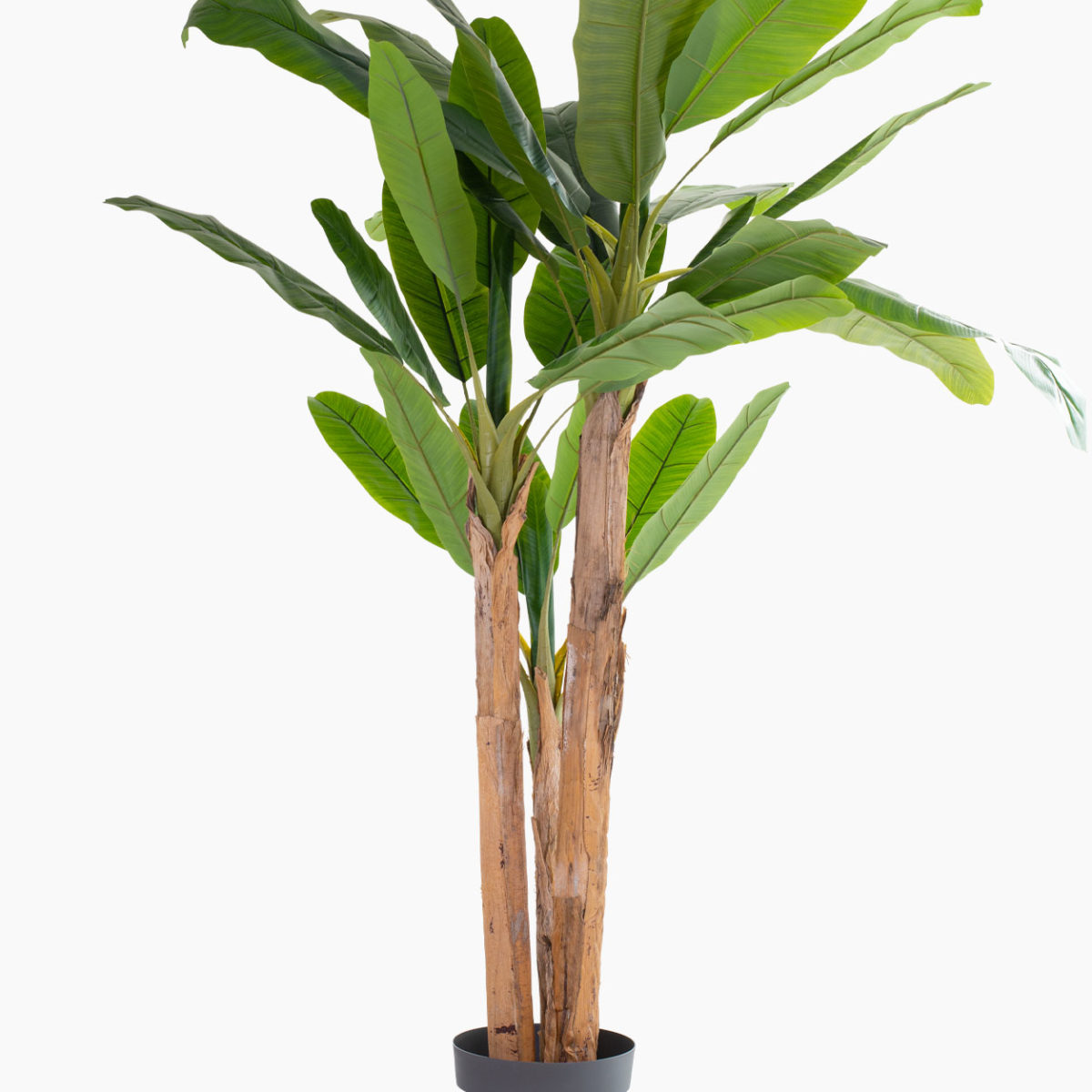 Arbre artificiel Bananier - hauteur 205 cm - Mobilier Luminaire Bureau ...